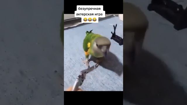 Безупречная актерская игра ?