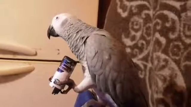 Жако разбирает газовую зажигалку