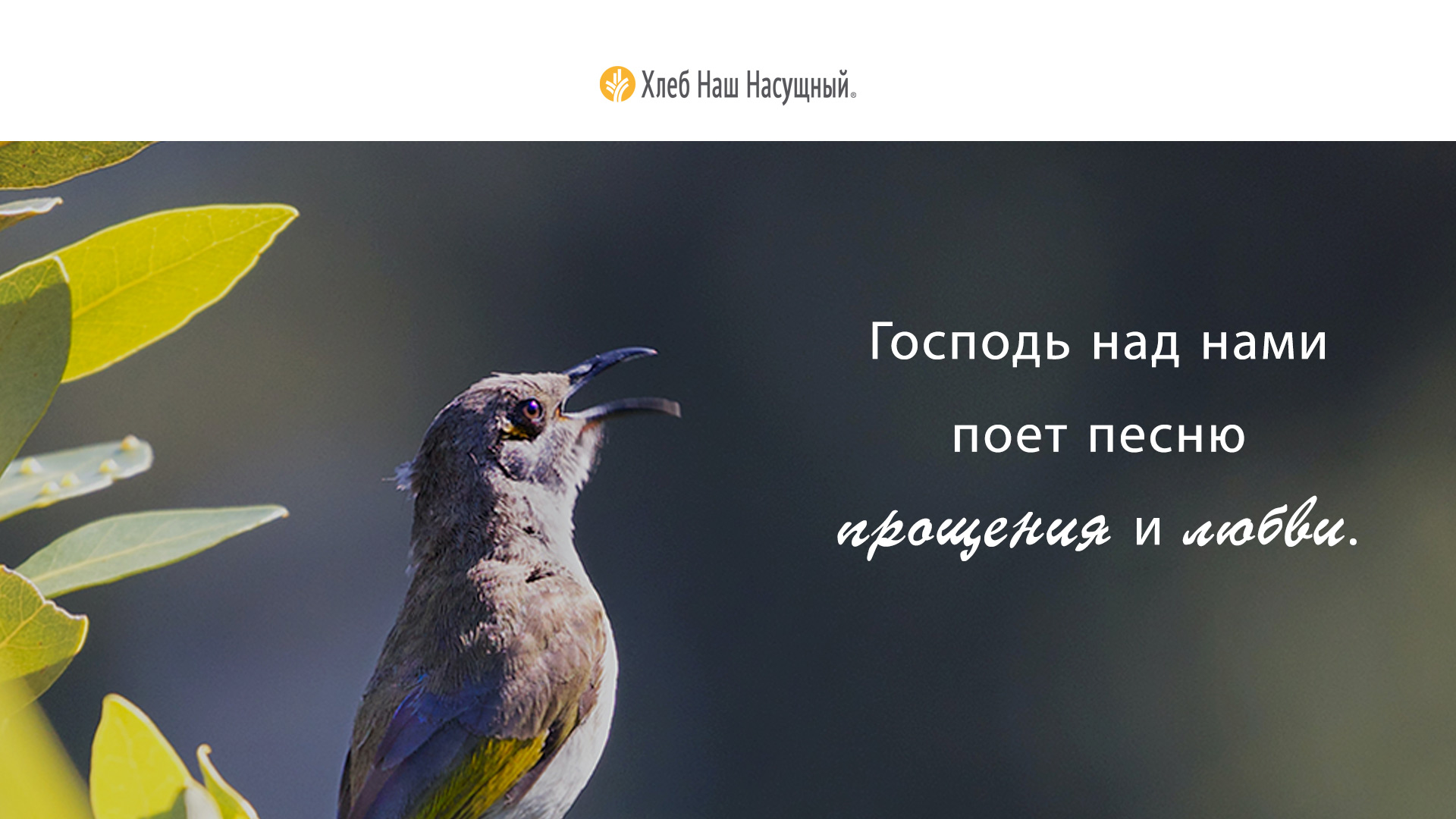 Возрождение песни	| Ежедневное христианское чтение |	27	апреля 2022