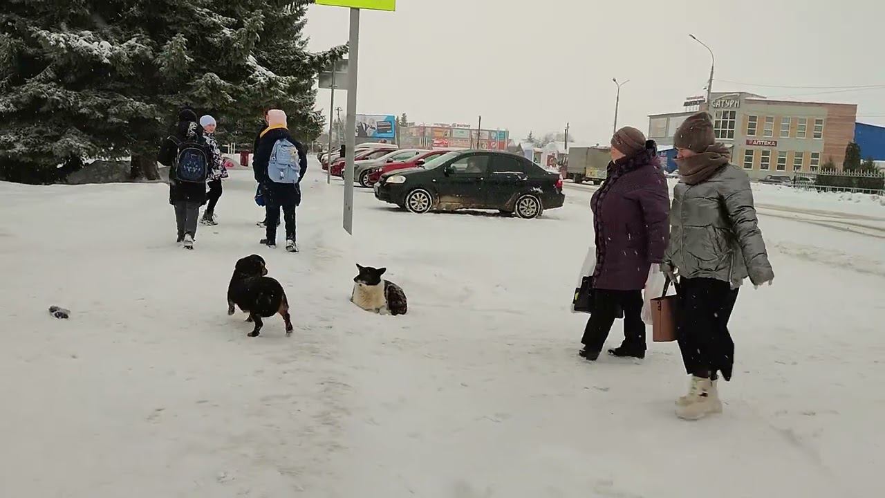 Жизнь маленького городка.  Уютные домики и дворики.