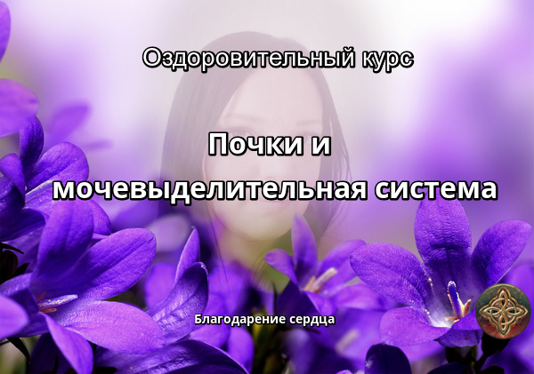 Оздоровительный курс: Почки и мочевыделительная система