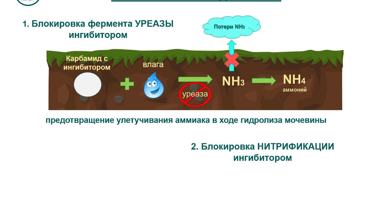 Улучшение эффективности удобрений
