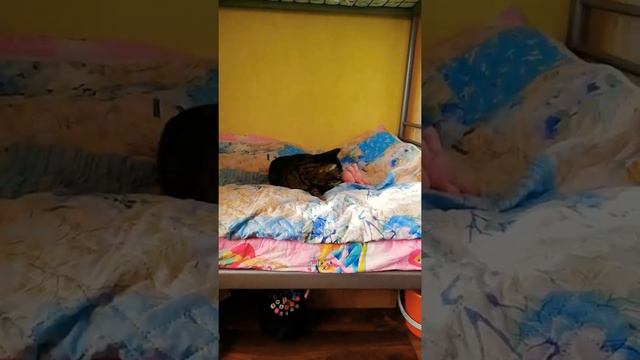 моего кота зовут Уголёк. а у вас есть домашние животные?