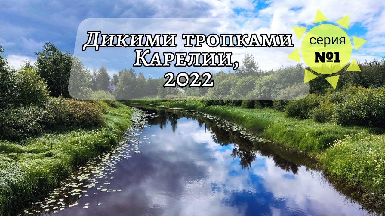 Большой летний поход на велосипедах по диким тропкам Карелии, август 2022. серия 1