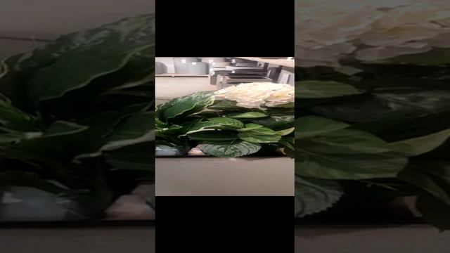VID-20230602-WA0007.mp4