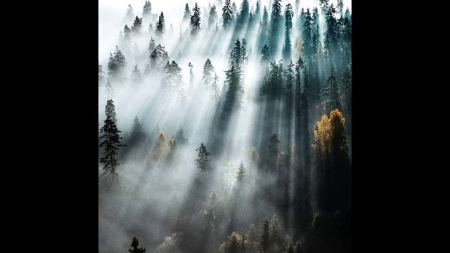 Библия. 22-15. 2-я Книга Маккавейская (15). Когда узнал Никанор...