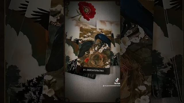 КАРТА ДНЯ НА 25 ФЕВРАЛЯ
