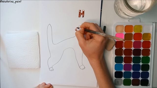 Буква Н. Норка