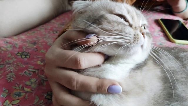 VID_20230204_131241