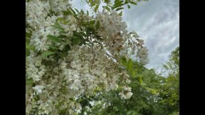 Май 2024: Нижний Новгород, Москва, Мариуполь, Москва, Нижний Новгород