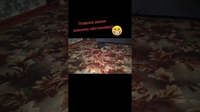 #смешной#юмор#смех#рекомендация