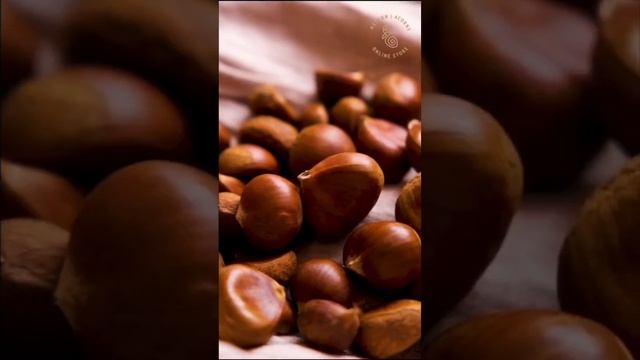 Вкусные каштаны собственного урожая