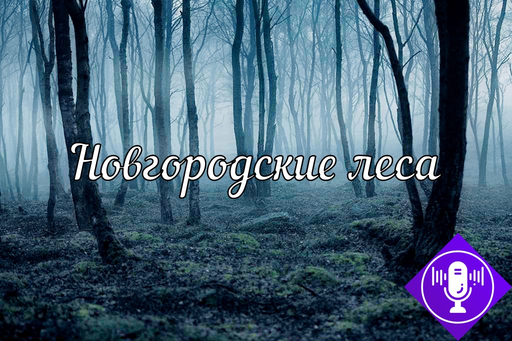 Новгородские леса. Мистические истории. Озвучка by Kolokolenkov.