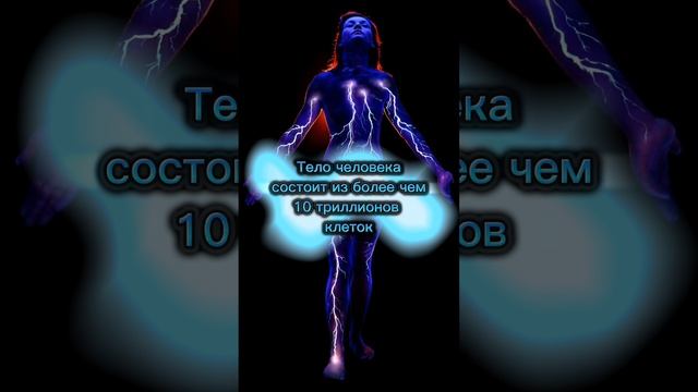 Человеческие клетки