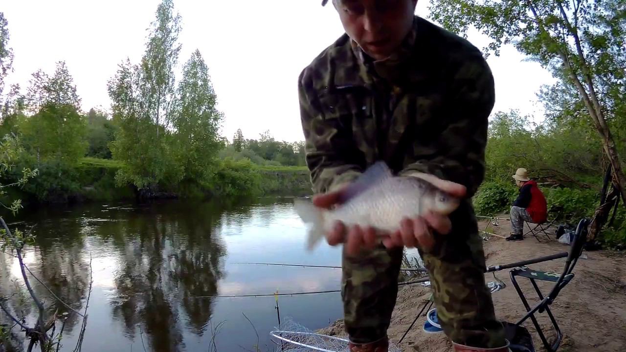 Последний день запрета  Фидер-карась. Фидерная рыбалка.