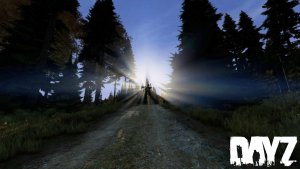 DayZ Новые приключения!