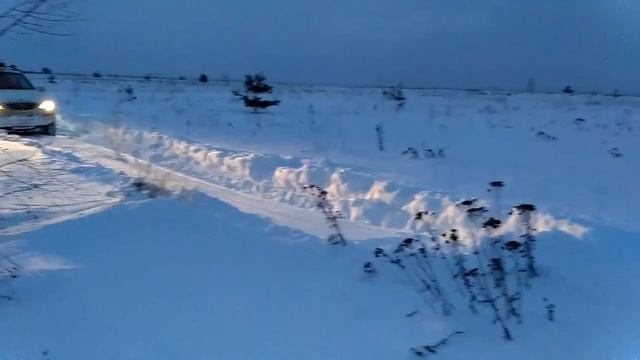 Тандем в поле