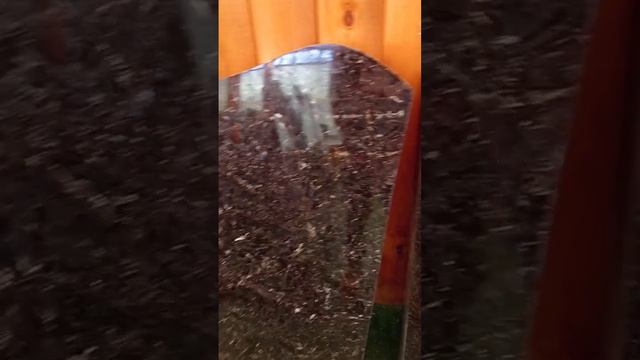 Выставка памятников, Невгранит, Гатчина, Крупская д1а