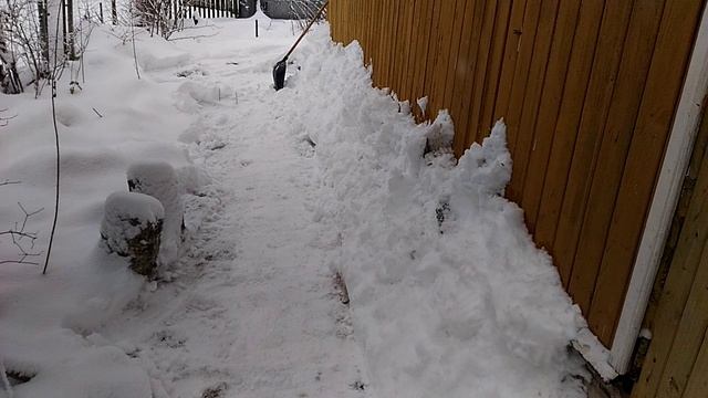 Снежный выходной день