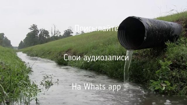 Скрипт вместо мозгов