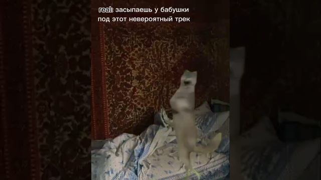 у бабушки в деревне