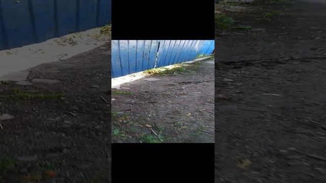 VID_20220715_151848.mp4