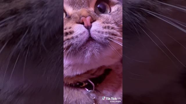 fa73d941d36ee15b01b74b174347a350.mp4
