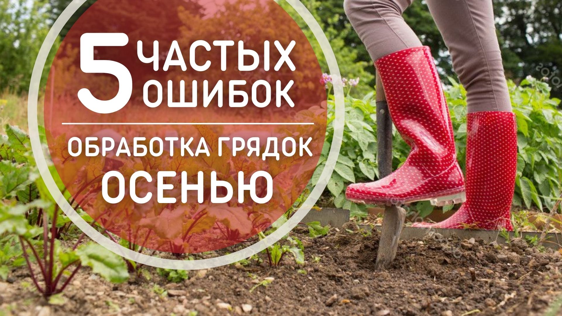 5 ЧАСТЫХ ОШИБОК при обработке почвы осенью ? Осенняя подготовка грядок к новому посевному сезону