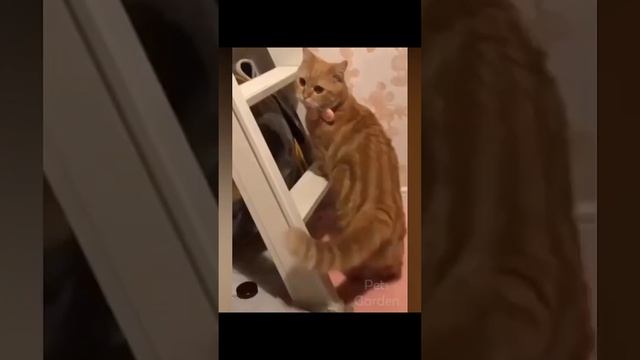 Теперь я буду рисовать.mp4