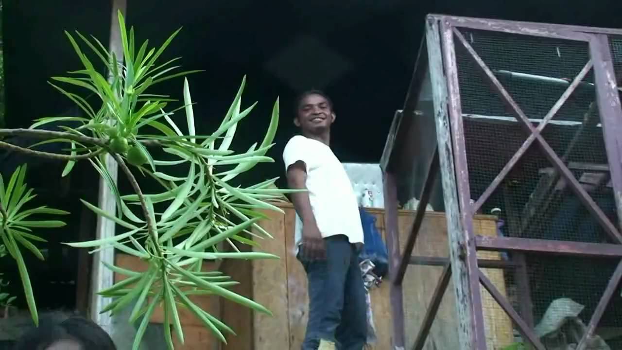 BayViewGardens Staff.mp4