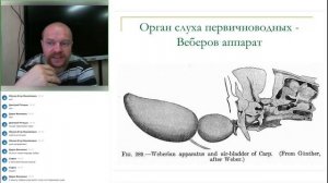 Зоология для любознательных. Занятие 5