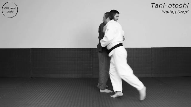 Tani-otoshi - Demo - смотреть видео онлайн от «Сила решения» в хорошем качестве, опубликованное ...