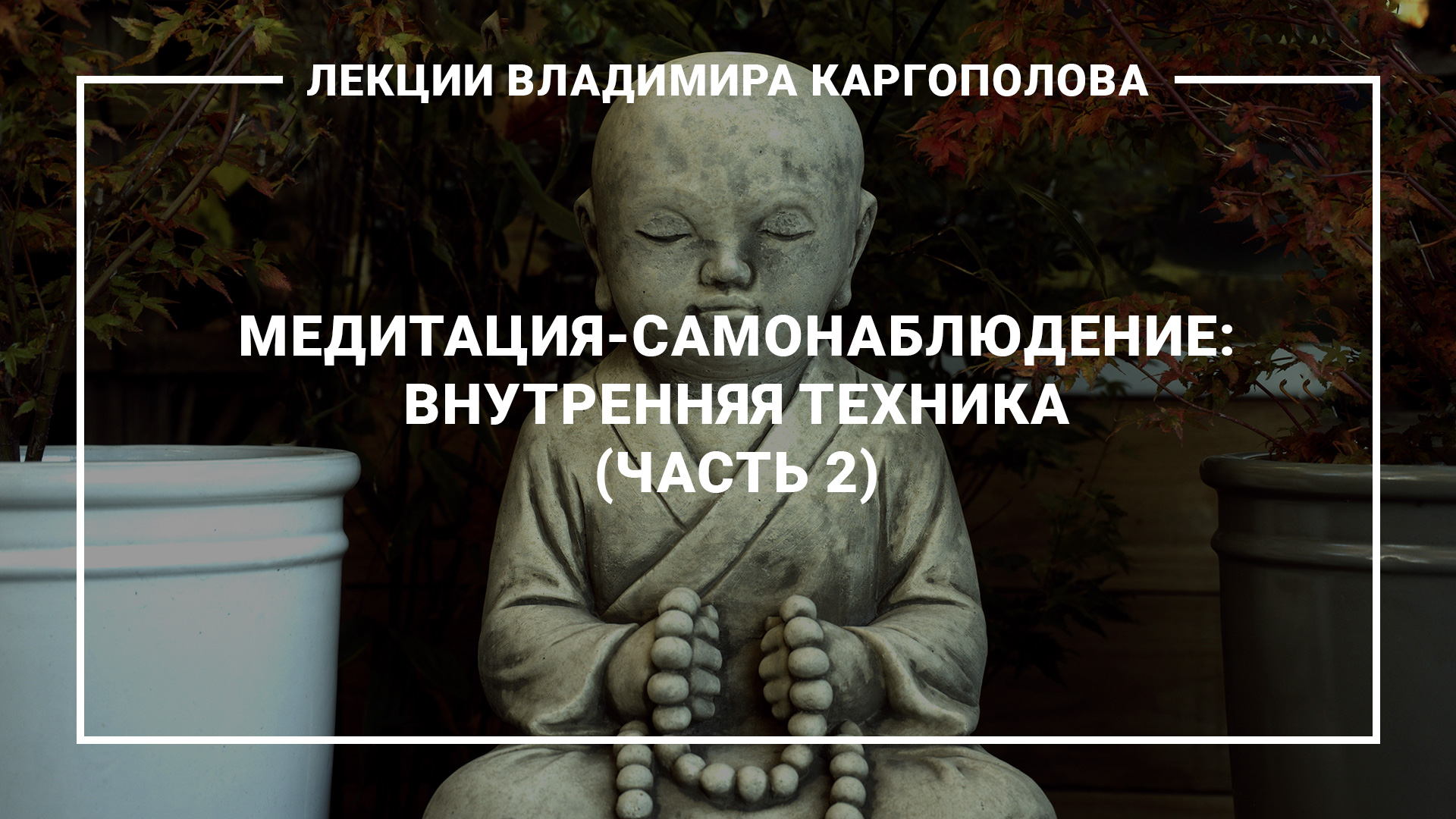 Лекции В. Каргополова. 9.2. Медитация-самонаблюдение: внутренняя техника (часть 2)