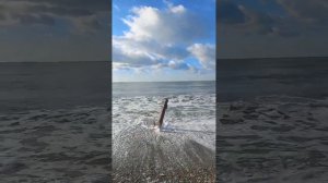 Архипо-Осиповка 17 ноября 2023 года ⛅ Обстановка на утро 🌊