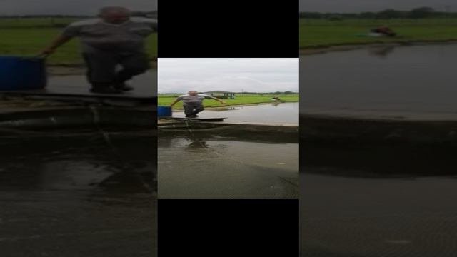 VID-20220621-WA0024.mp4