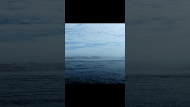 1 мая , танец буксиров. день вмф 2022