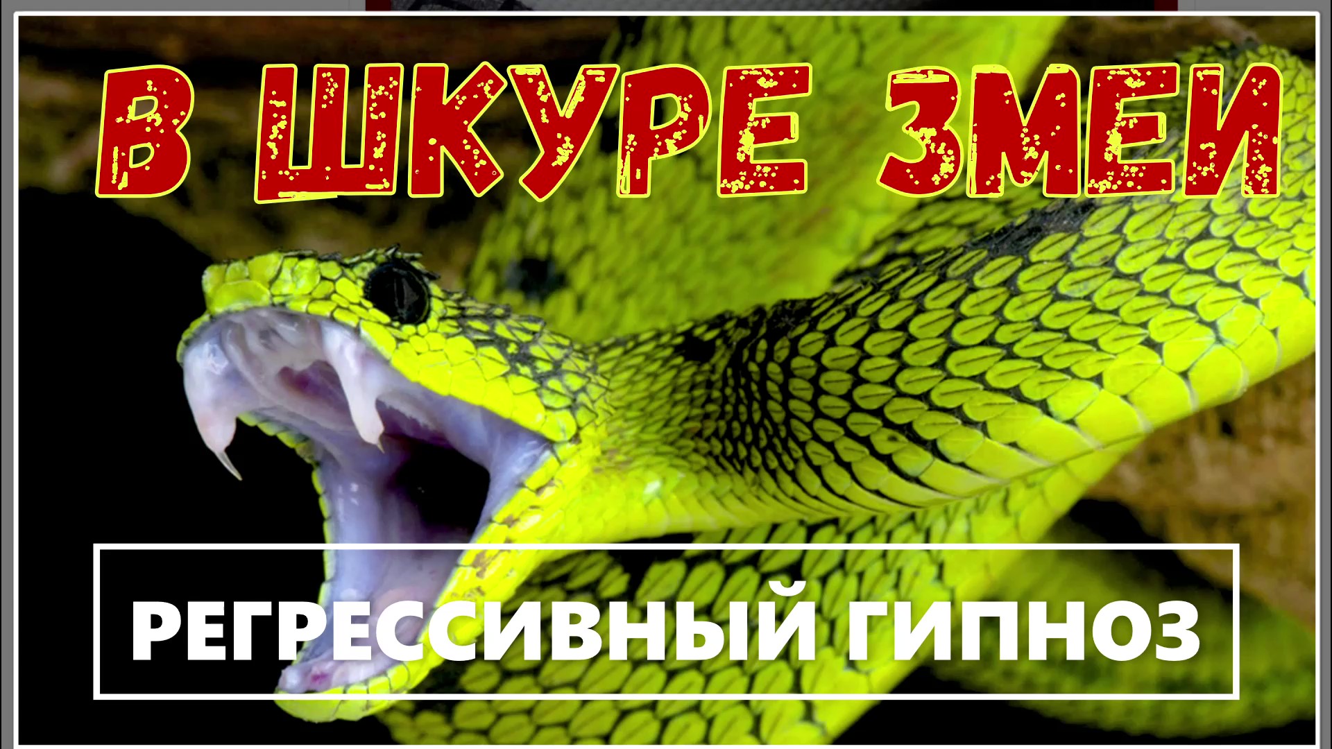 В ШКУРЕ ЗМЕИ. Гипноз-Онлайн. Регрессивный гипноз