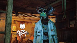 ГЕНИЙ УЧЕНЫЙ ►Stray #6