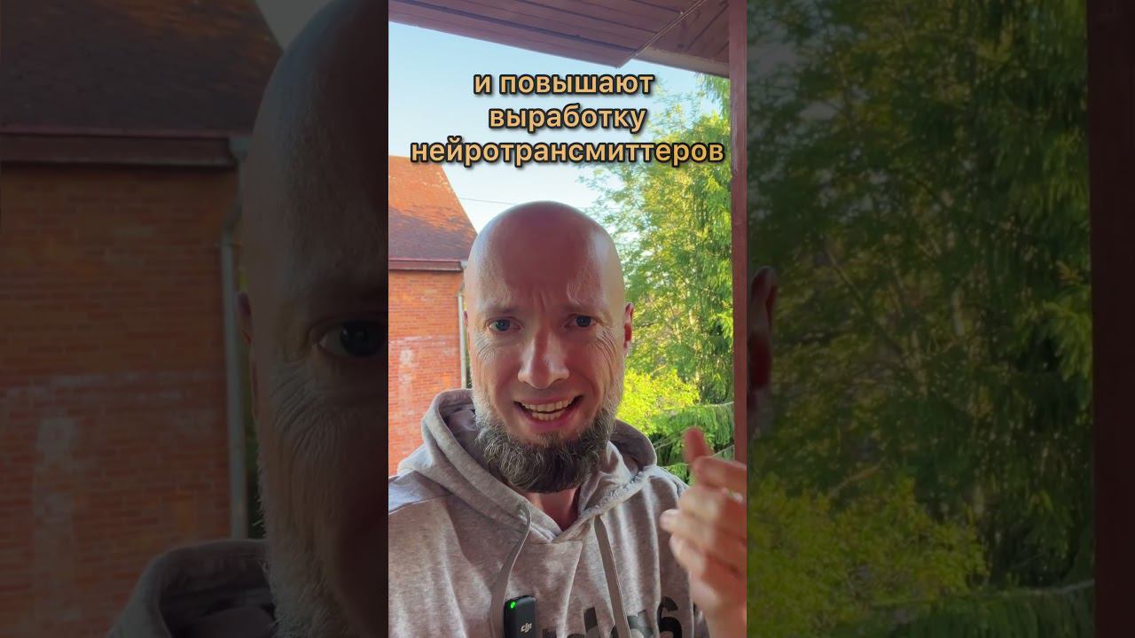 Музыка и эффективность тренировок #фитнес #зож #спорт