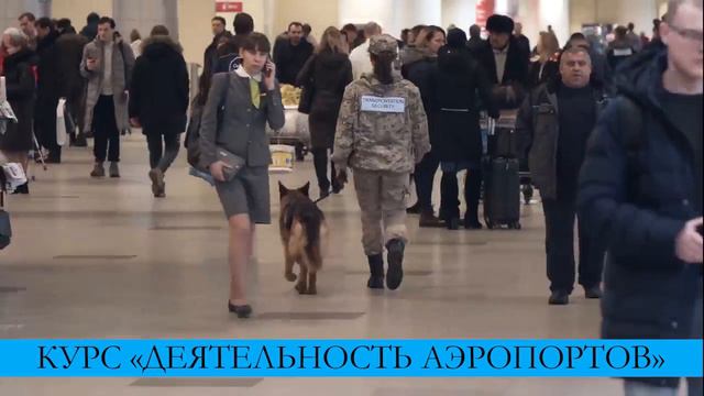 Аэропорт Домодедово