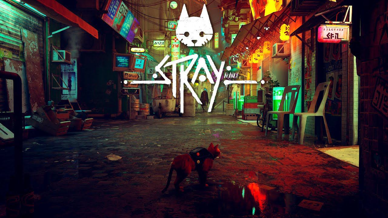 НАЧАЛО НАЧАЛ ⚝STRAY #1