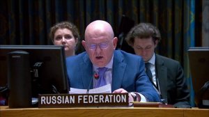 Statement by Ambassador Nebenzia at UNSC briefing on cooperation between the UN and the LAS