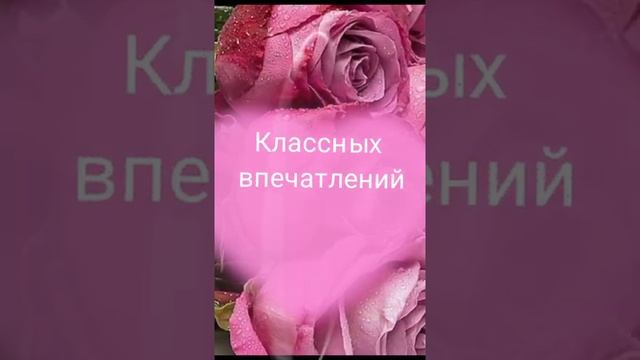 Хорошего дня