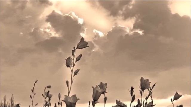 Я знаю, ничего уже не повторится. ( На стихи Сергея Штильмана)