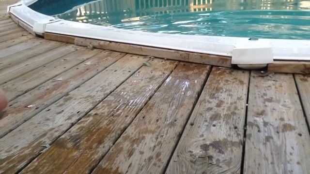 Epic Cats Hate Falling in Water.mp4