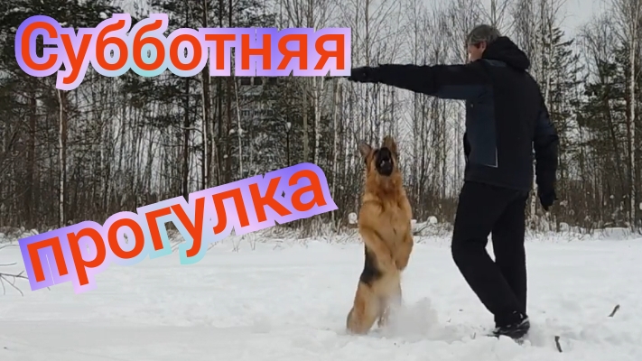 Отличная получилась прогулка.Its been an excellent walk.#нем.mp4