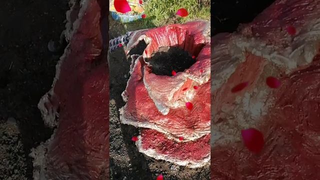 Без названия