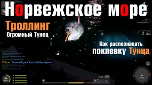 Огромный Тунец • Как распознать поклёвку Тунца • Русская Рыбалка 4 • Норвежское Море