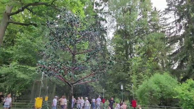 Фонтаны Петергофа  Санкт-Петербург 2023