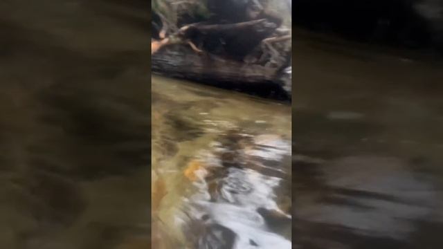 VID_20221228_193155_910.mp4